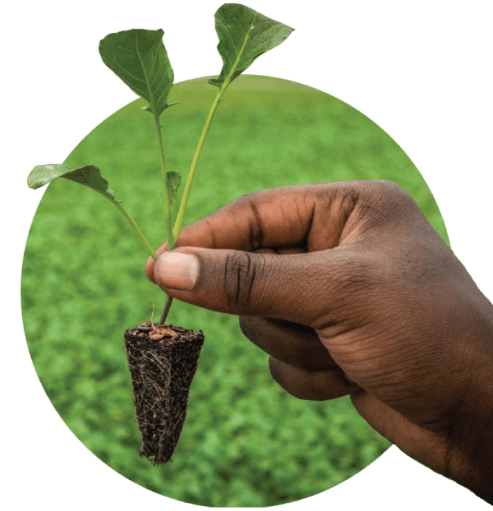 About us - PlantechKenya