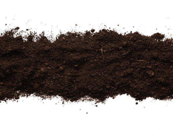 Plant Propagators | Plantech Kenya LTD